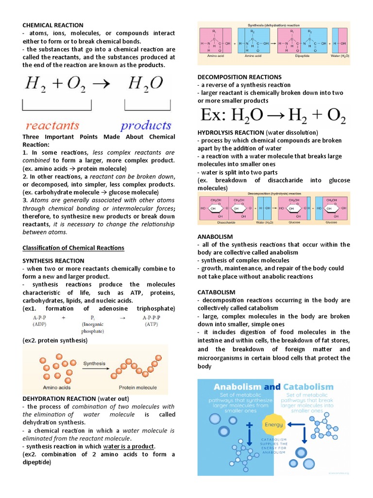 Chemical Reaction Notes | PDF | Chemical Reactions | Metabolism