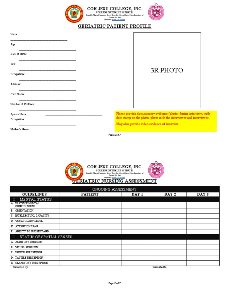 Geriatric Nursing Assessment Form 2 | PDF | Vagina | Medical Specialties