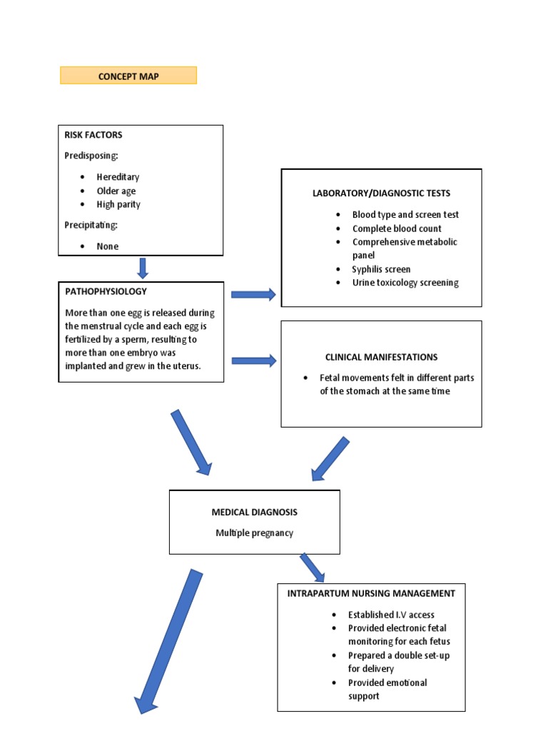 Concept Map Case Study Twin Pregnancy | PDF | Childbirth | Pregnancy