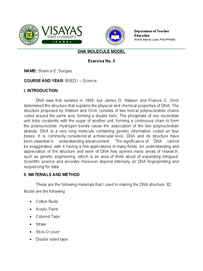 Dna Molecule Model Exercise No. 3 NAME: Shanica E. Surigao Course and Year: Bsed I - Science ...