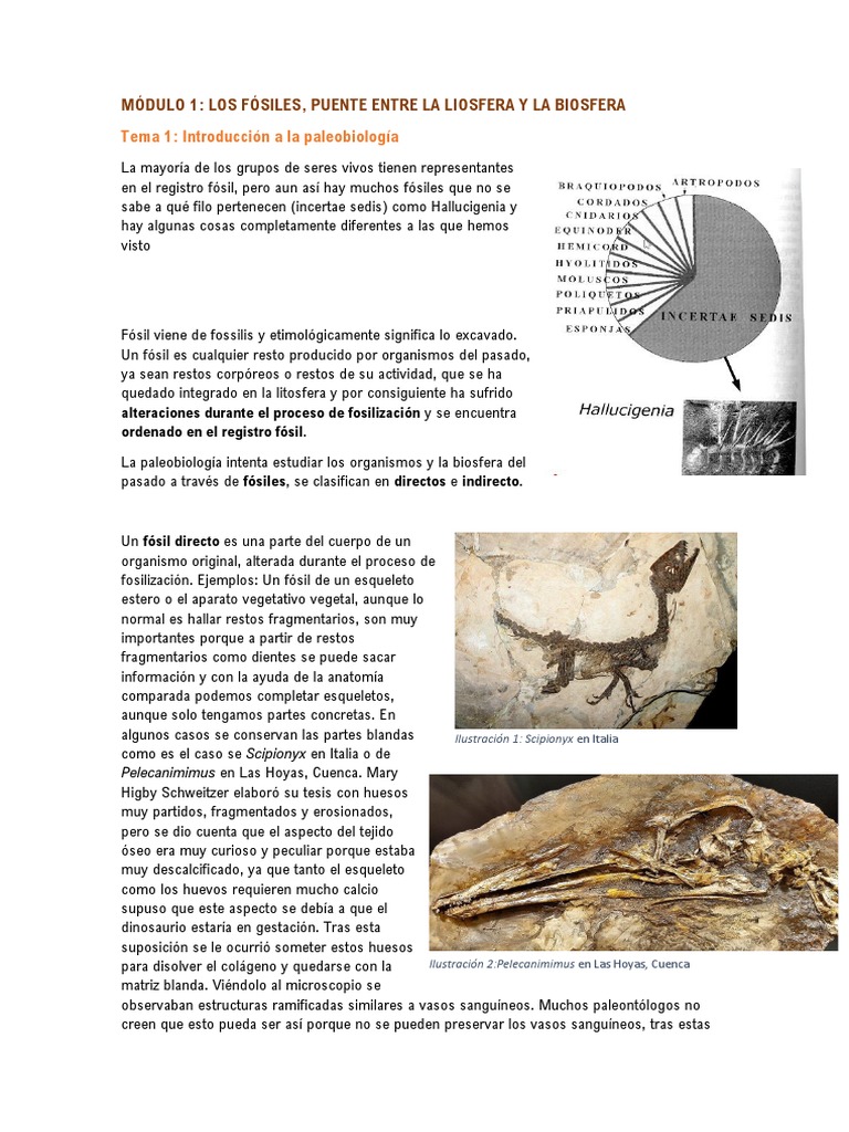 Paleobiologia Tema 1: Introduccion | PDF | Evolución | Fósil