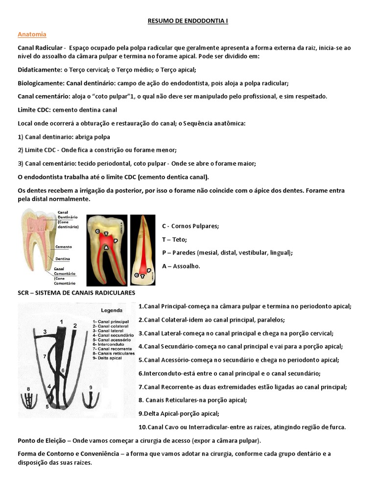 Resumo de Endodontia I | PDF | Áreas da odontologia