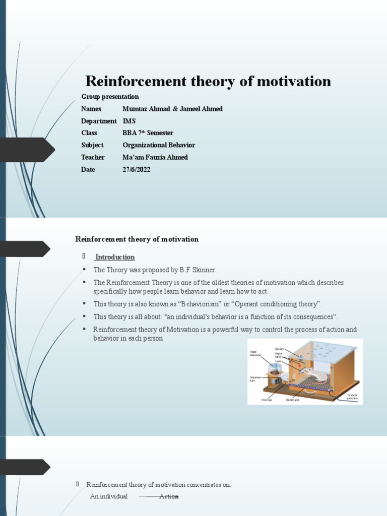 Understanding Reinforcement Theory | PDF | Reinforcement | Motivational