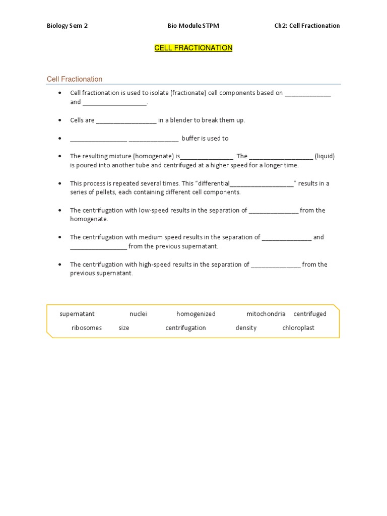 Cell Fractionation Separates Cell Components | PDF | Centrifugation ...