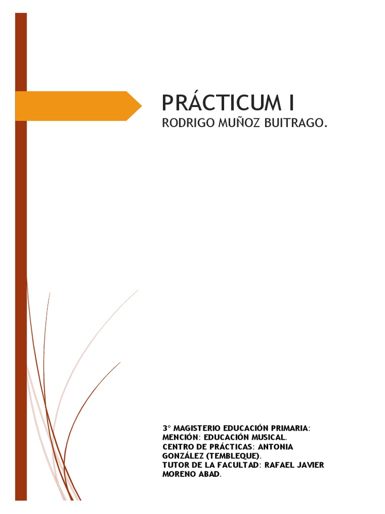 Practicum 1 | PDF | Evaluación | Salón de clases