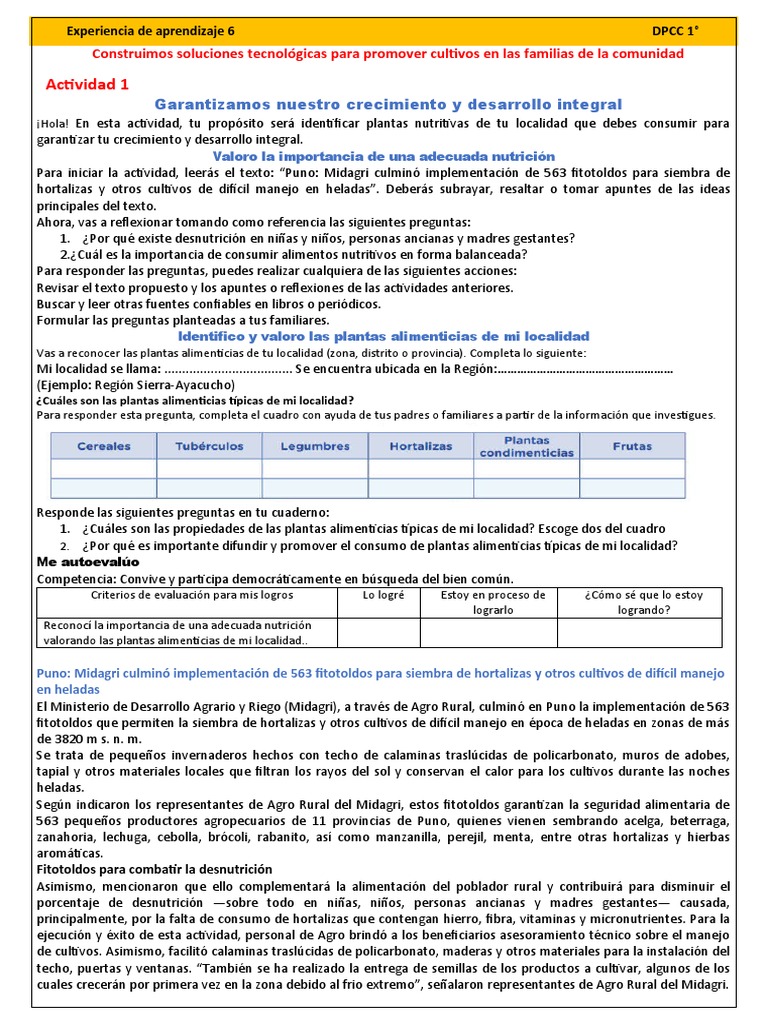 DPCC 1°-EDA 6 - Actividad1 | PDF | Vegetales | Agricultura