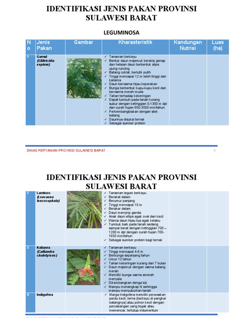 Tabel Identifikasi Jenis Pakan | PDF