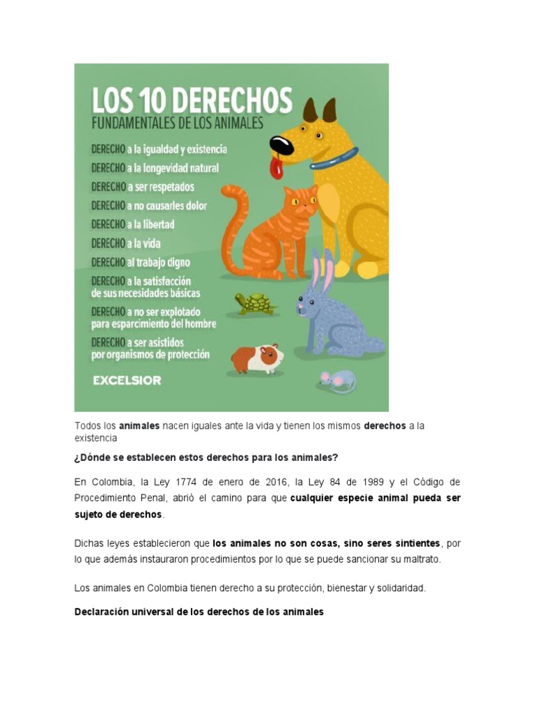Derechos de Los Animales | PDF | Derechos animales | Justicia