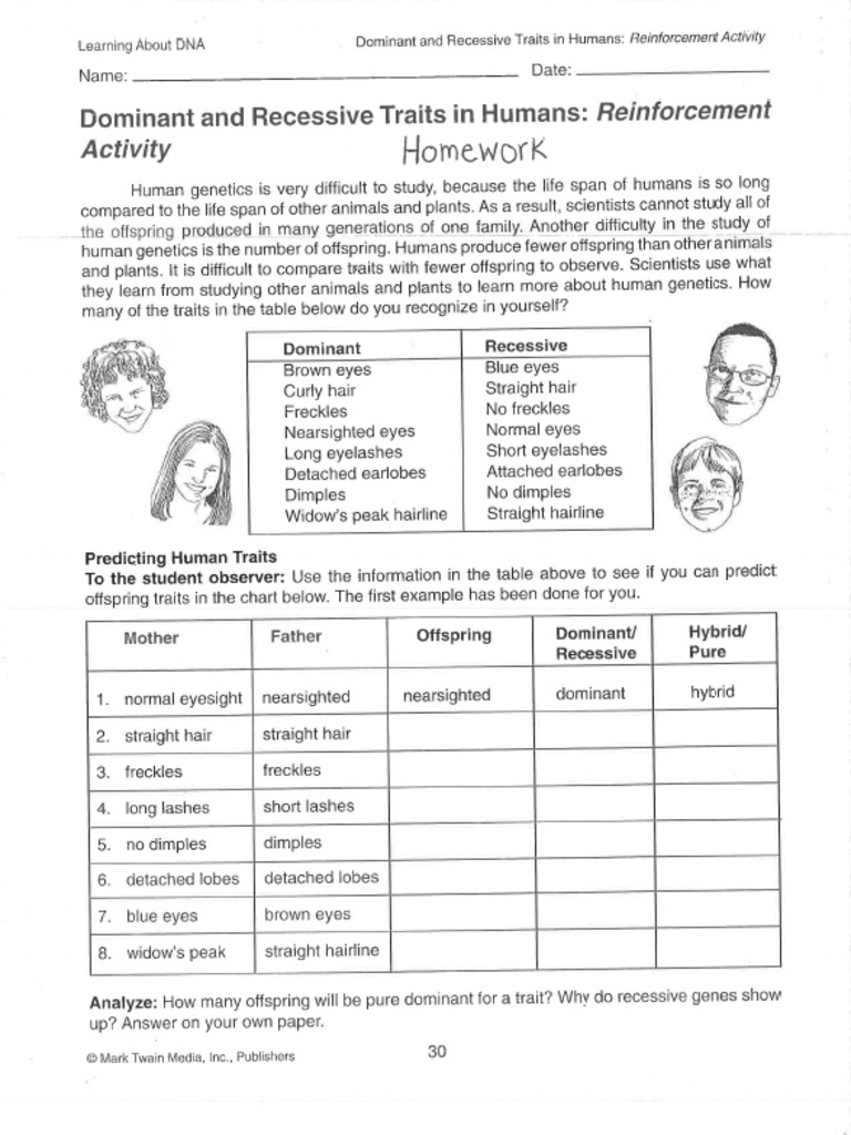 Dominant and Recessive Worksheet | PDF