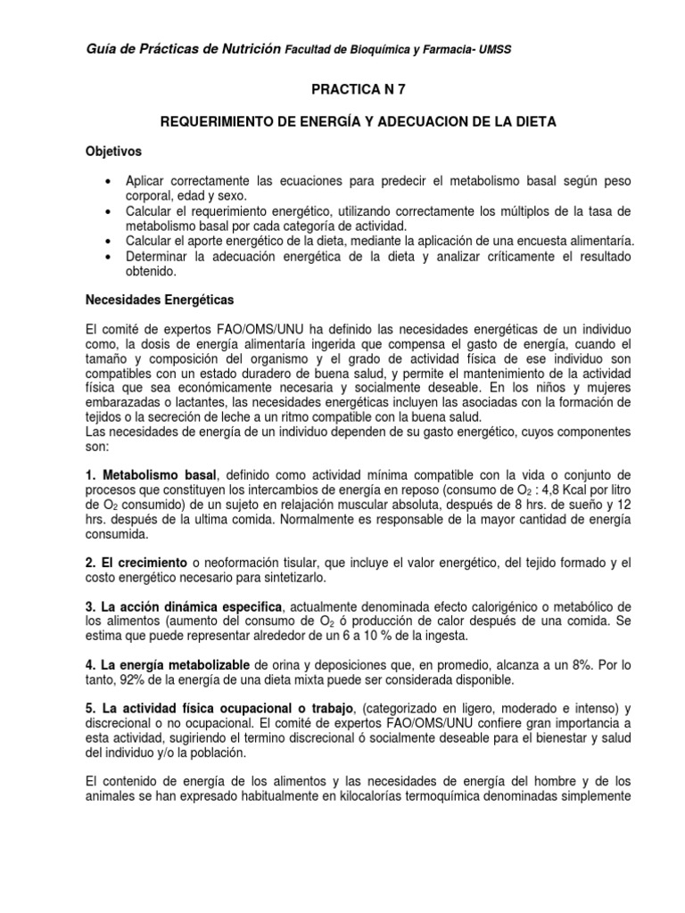 Guia - Práctica 7 | PDF | Dieta | Alimentos