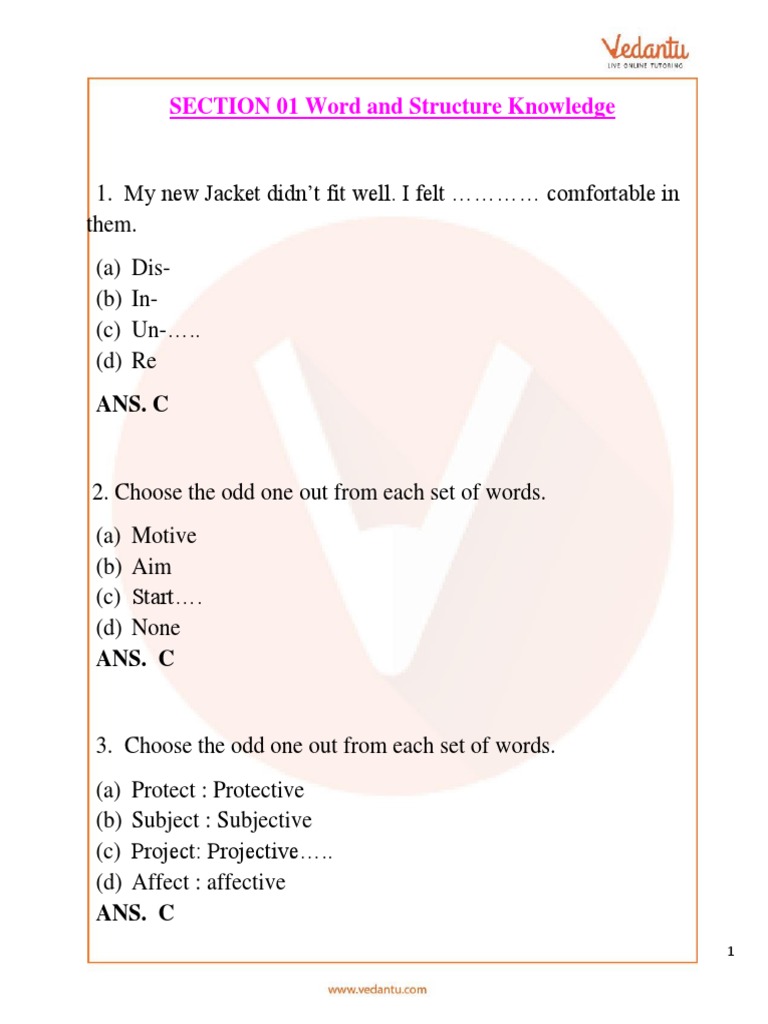 IEO English Sample Paper 1 For Class 6 | PDF | Leash | Dogs