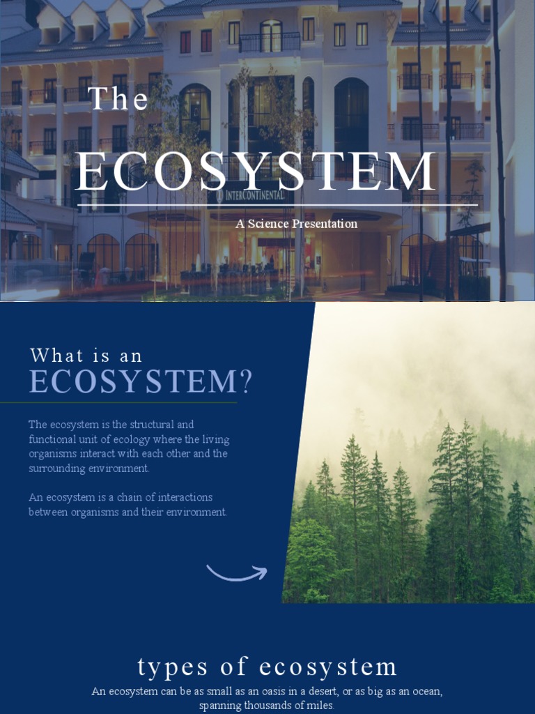 Ecosystem Geography Social Science Fun Photo School Project ...