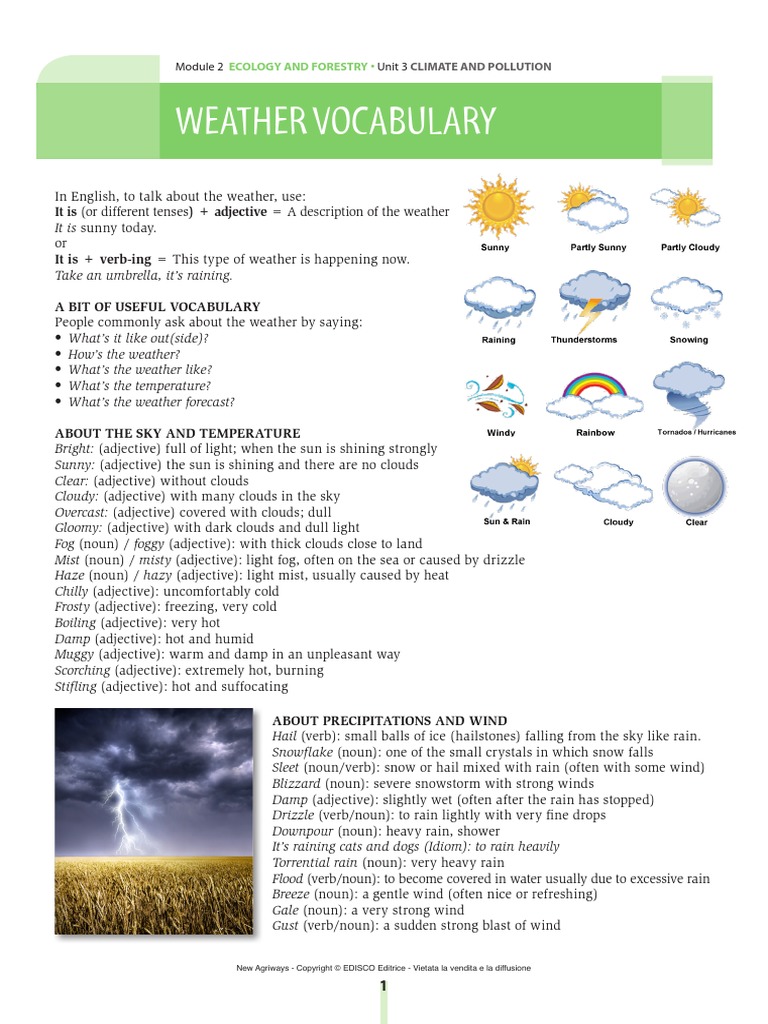 07-Weather Vocabulary | PDF | Fog | Weather