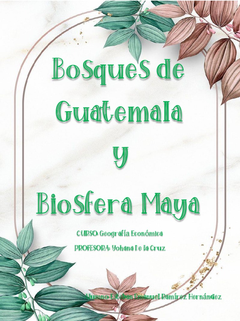 Bosques de Guatemala y Biosfera Maya | PDF | Los bosques | Ecología de sistemas