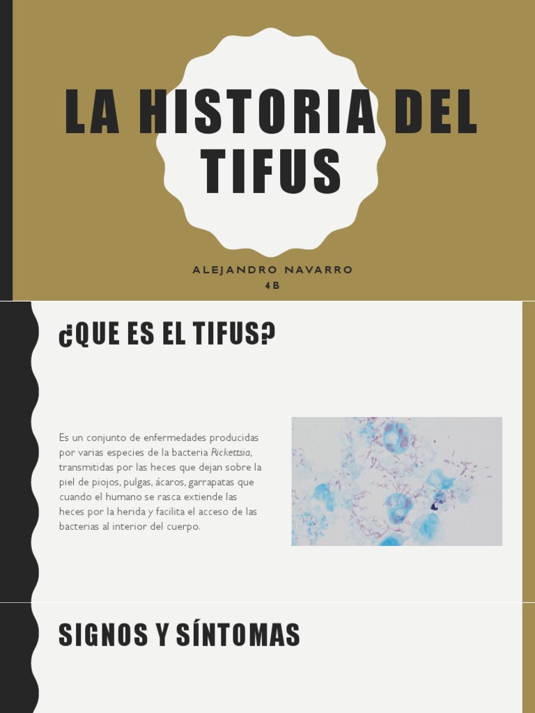 Historia y características del tifus | PDF | Historia | Religión y ...