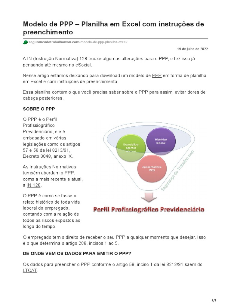 Modelo de PPP Planilha em Excel Com Instruções de Preenchimento | PDF