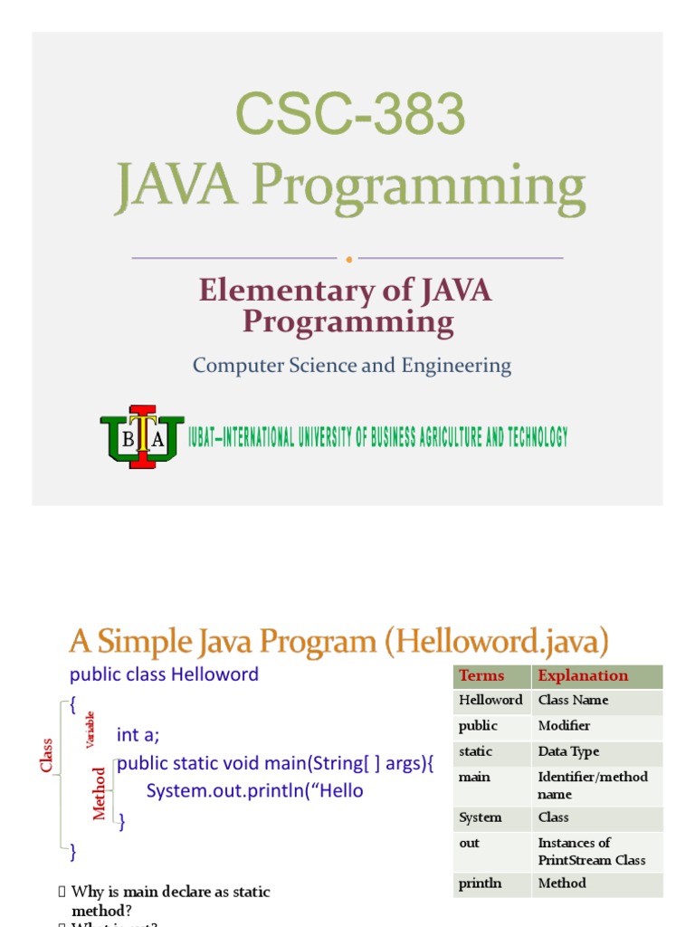 Lecture 2 Elementary Programming Pdf Variable Computer Science 2128