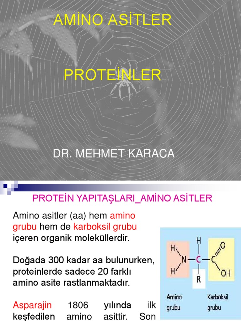 1-Amino Asid-Protein 1 | PDF