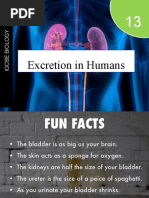 ? Excretion - Grade 11 Life Sciences | PDF