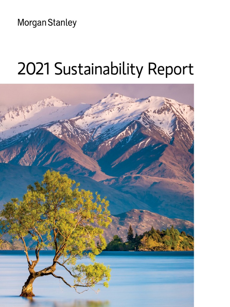 Morgan Stanley | PDF | Sustainability | Low Carbon Economy
