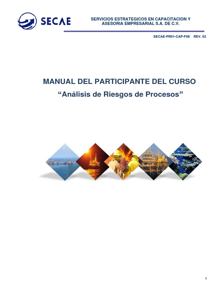 Manual ARP | PDF | Riesgo | Entorno natural