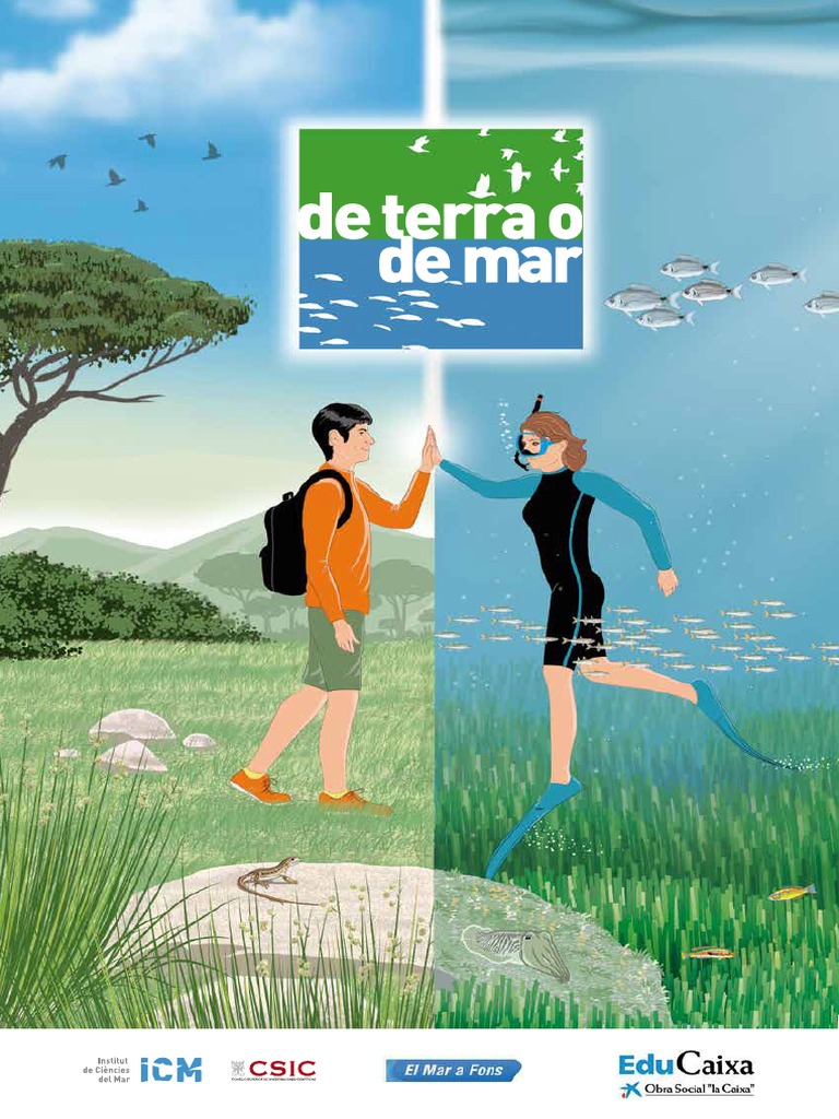De Terra o de Mar Comic Cat 2018 | PDF