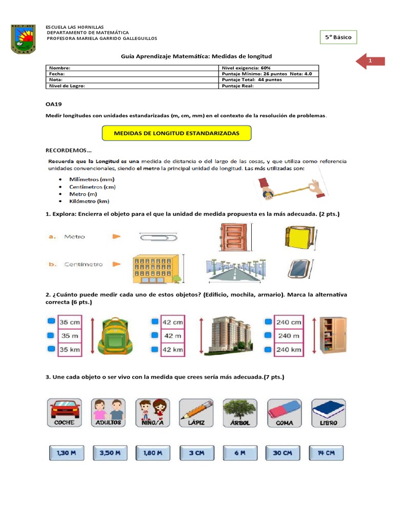 Guía Evaluada 5º Medición | PDF