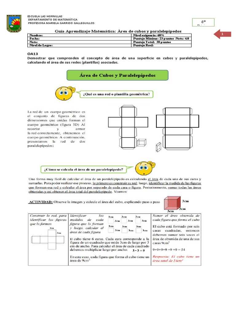Guía Evaluada 6º Básico Área | Descargar gratis PDF | Matemáticas
