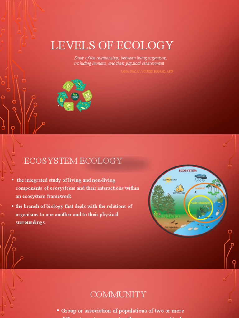 Levels of Ecology | PDF