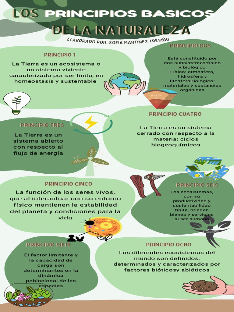 Principios Básicos de la Naturaleza | PDF | Ecosistema | Tierra