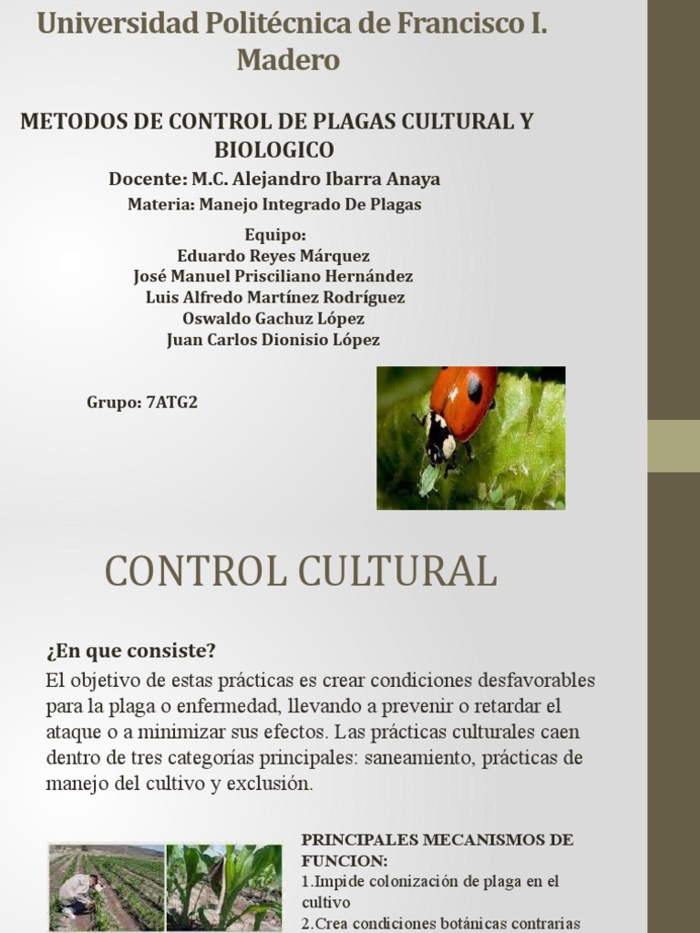 Expo Control Biologico y Cultural | PDF | Control biológico de plagas ...