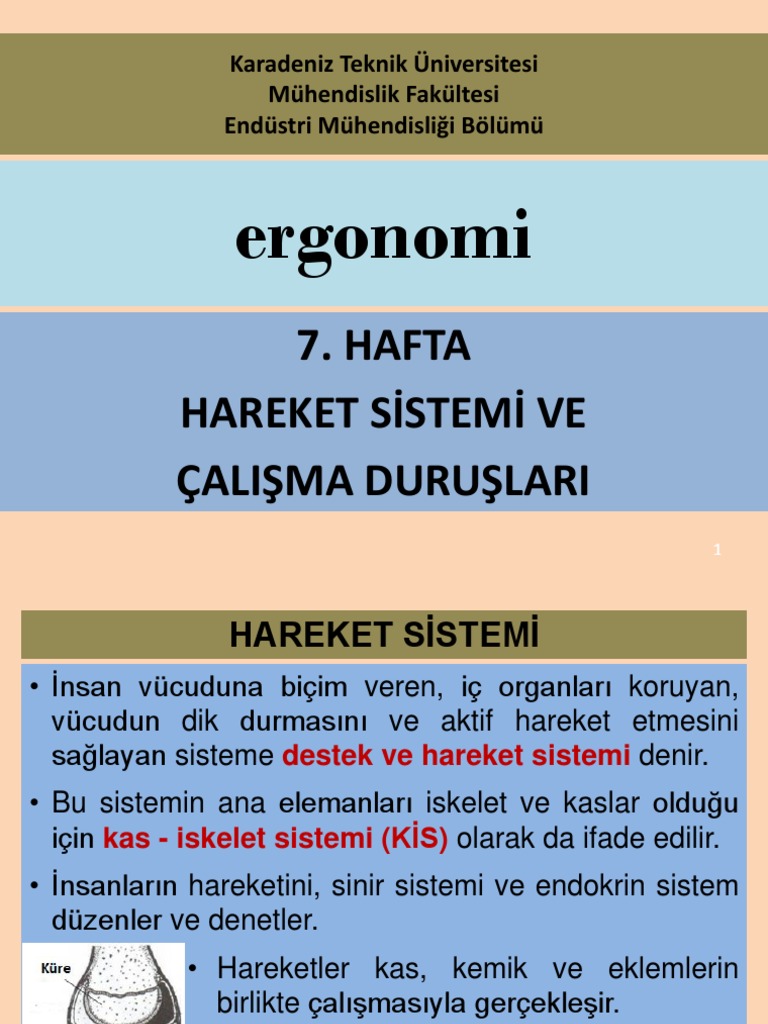 Hafta.1 - Hareket Si̇stemi̇ Ve Çalişma Duruşlari | PDF Hafta.1 - Hareket Si̇stemi̇ Ve Çalişma Duruşlari | PDF