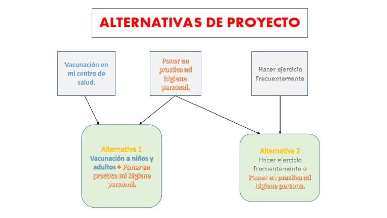 Alternativas de Proyecto | PDF