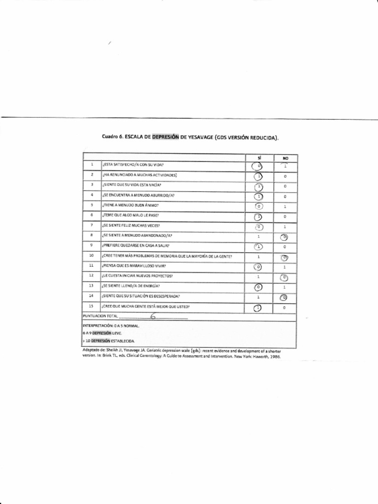 Escala Mini - Mental | PDF