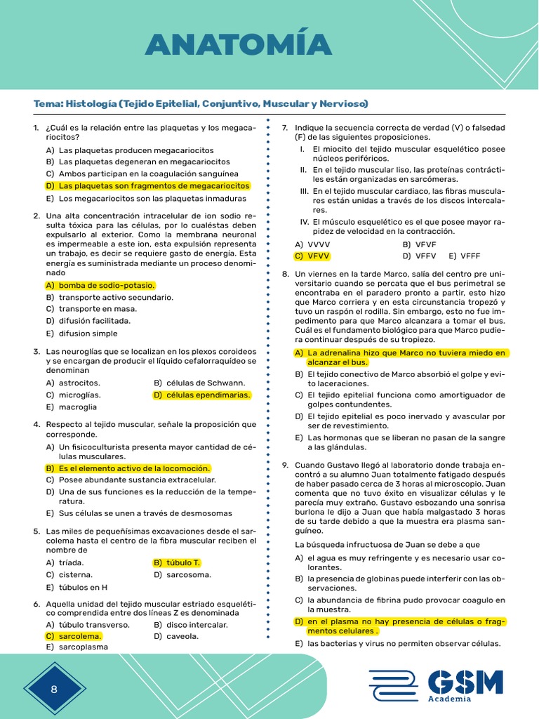 Repaso - Anatomia - T1 | PDF | Músculo esquelético | Neurona