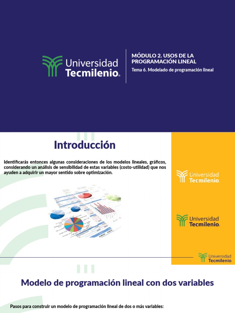 Tema 6 | PDF | Programación lineal | Linealidad