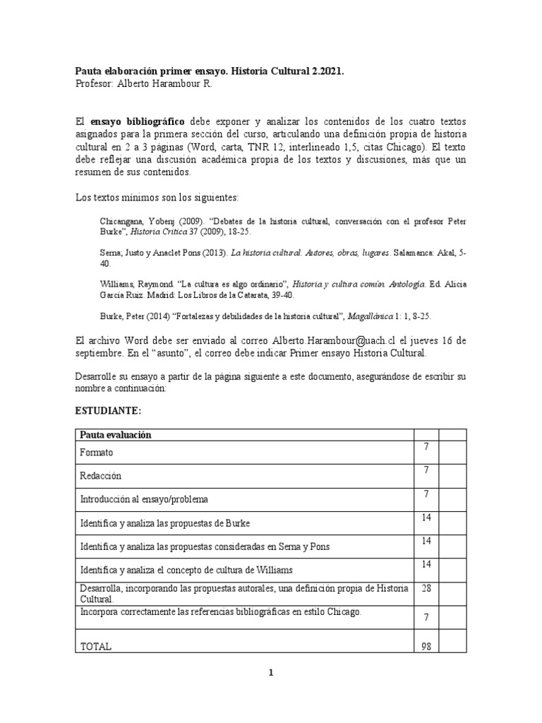 Pauta Primer Ensayo HC Michael Cañete | PDF | Renacimiento | Concepto