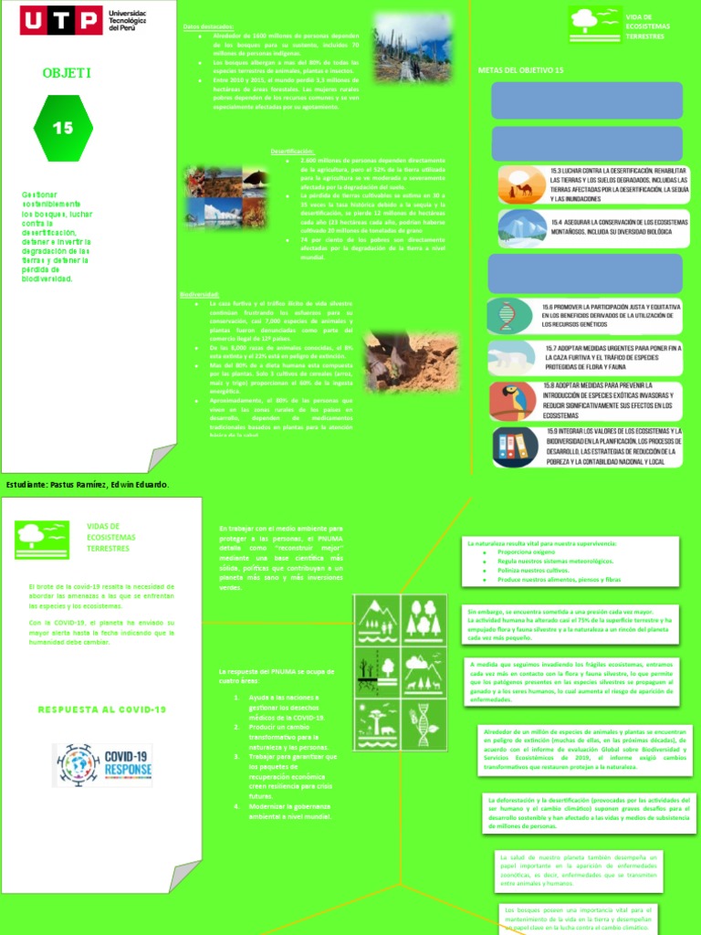 Semana 14 - Tema 1 Tarea - Infografía Los 17 ODS | PDF | Naturaleza ...