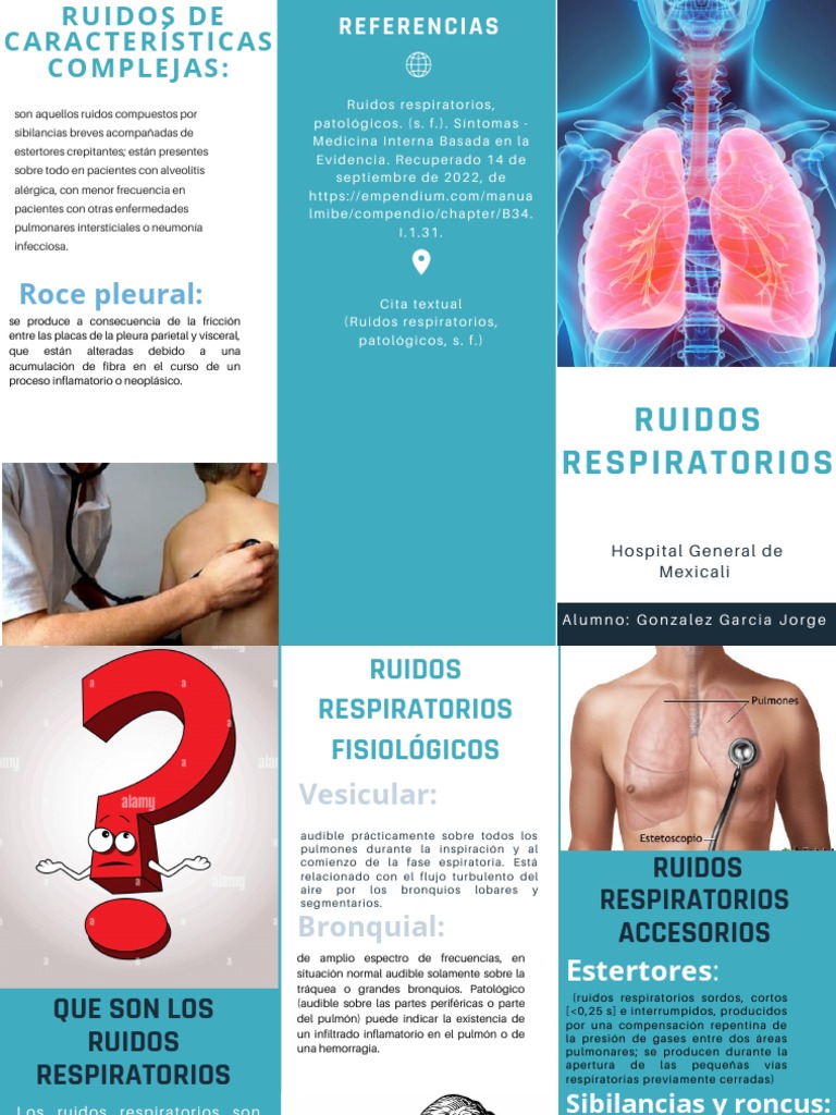 Triptico Ruidos Respiratorios | PDF | Sistema respiratorio | Pulmón