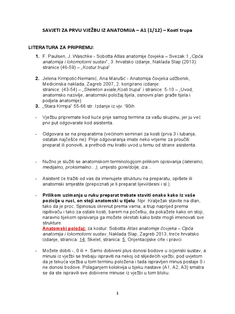 Savjeti Za Prvu Vježbu I Kosti - Anatomija | PDF