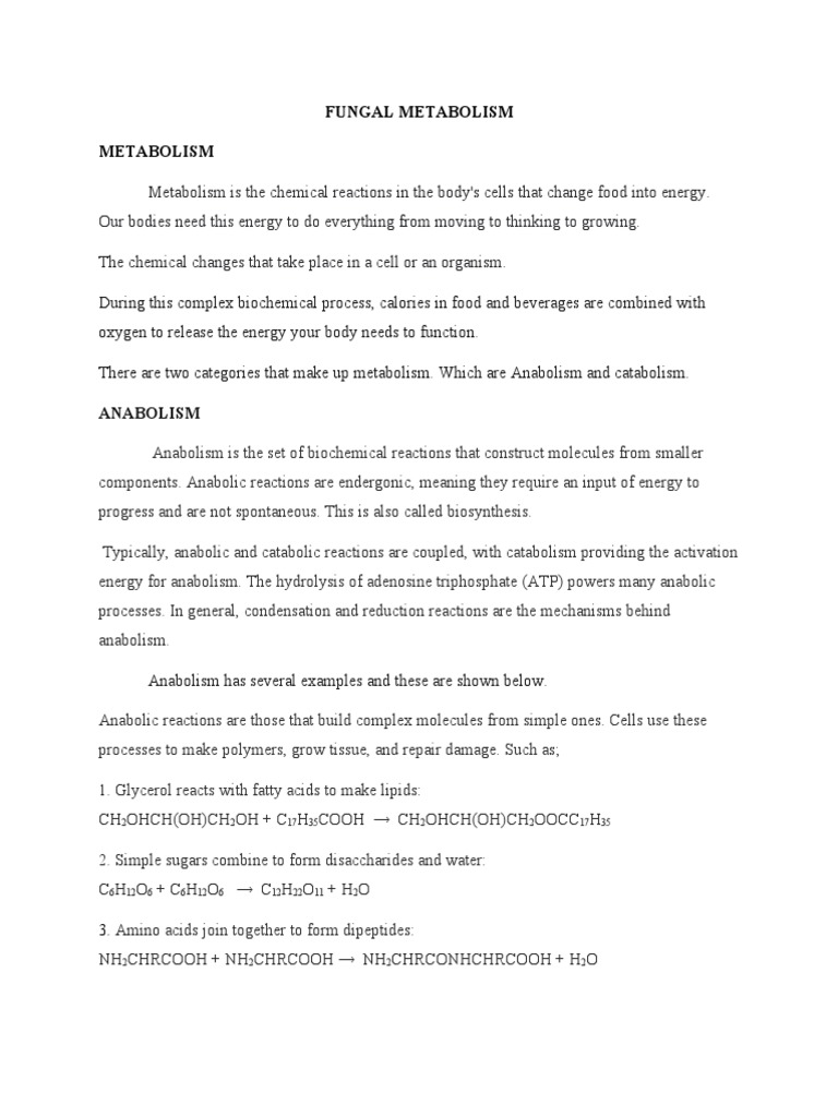 Fungal Metabolism | PDF