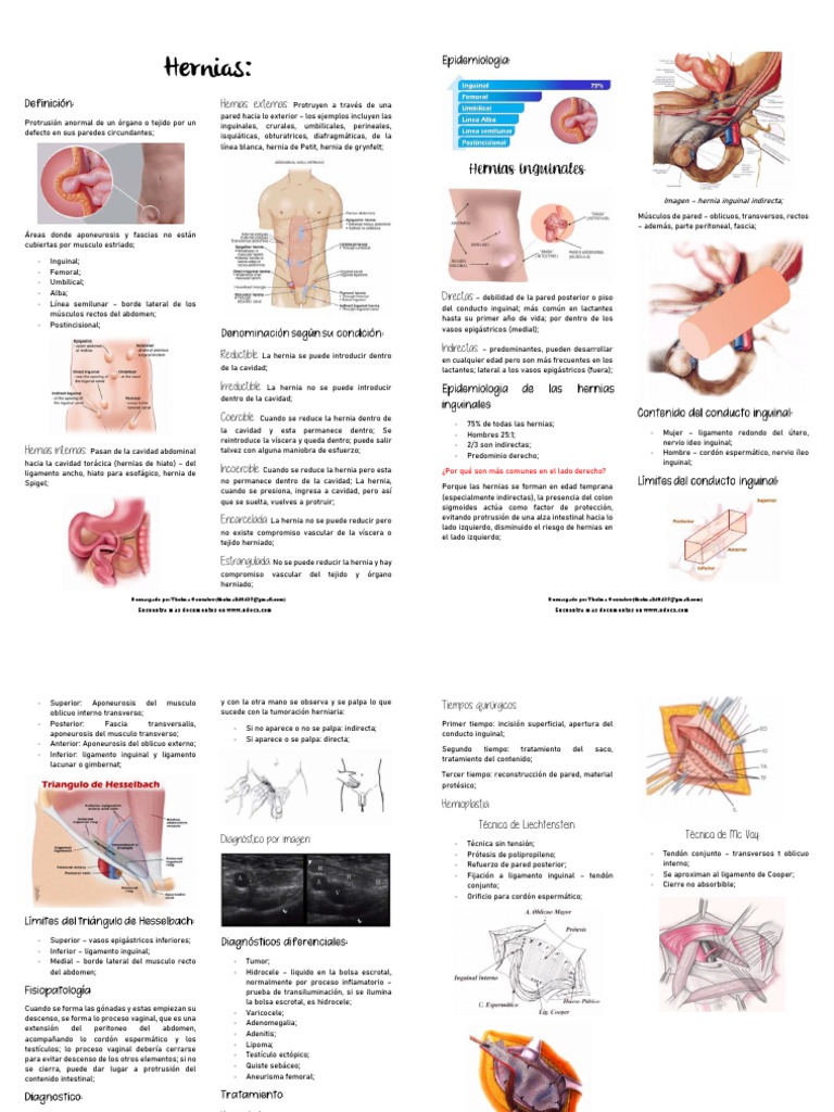 Tipos de Hernias y Técnicas Quirúrgicas | PDF | Abdomen | Anatomía