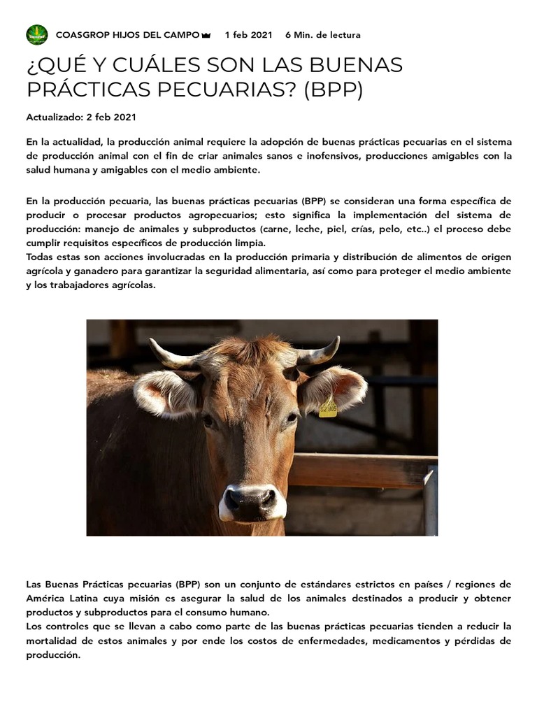 ¿Qué y Cuáles Son Las Buenas Prácticas Pecuarias - (BPP) | PDF | Alimentos | Ciencias de la Salud