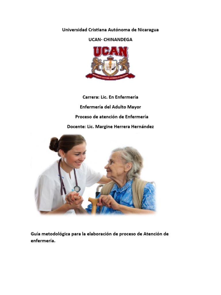 Guia de Elaboracion de PAE | PDF | Enfermería | Ciencias de la Salud