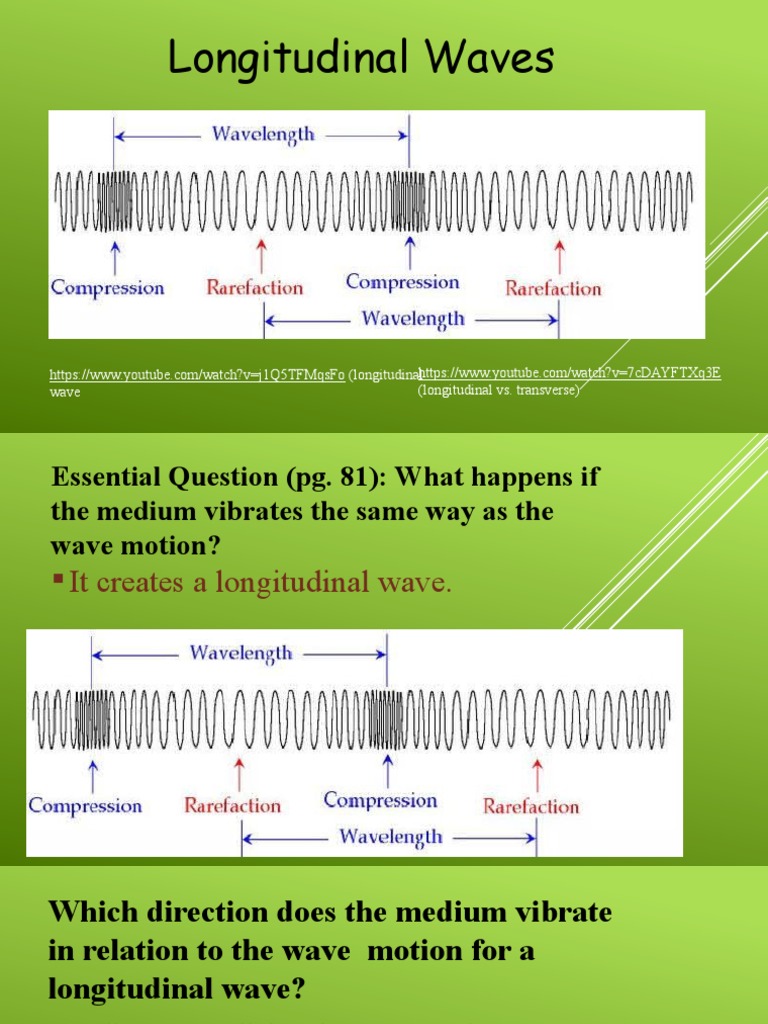 Longitudinal Waves | PDF | Sound | Waves