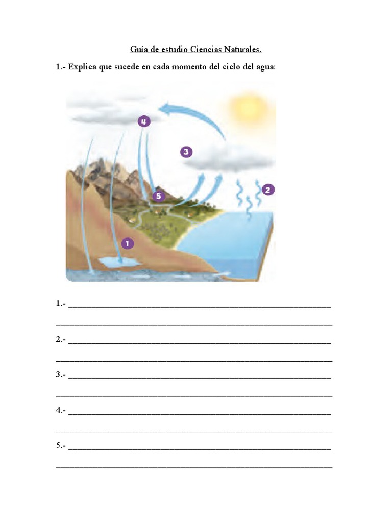 Guía de Estudio Ciencias Naturales Ciclo Del Agua | PDF | Materiales ...