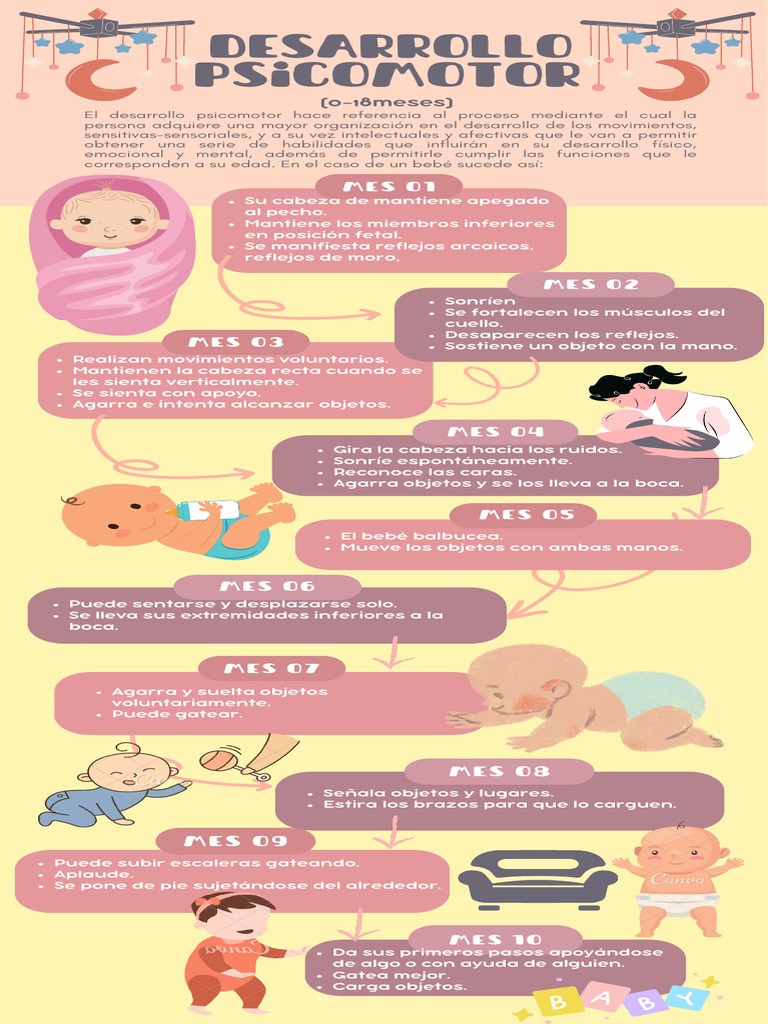 S08.s1 - Infografía Del Desarrollo Psicomotor | PDF | Ciencia cognitiva | Sicología
