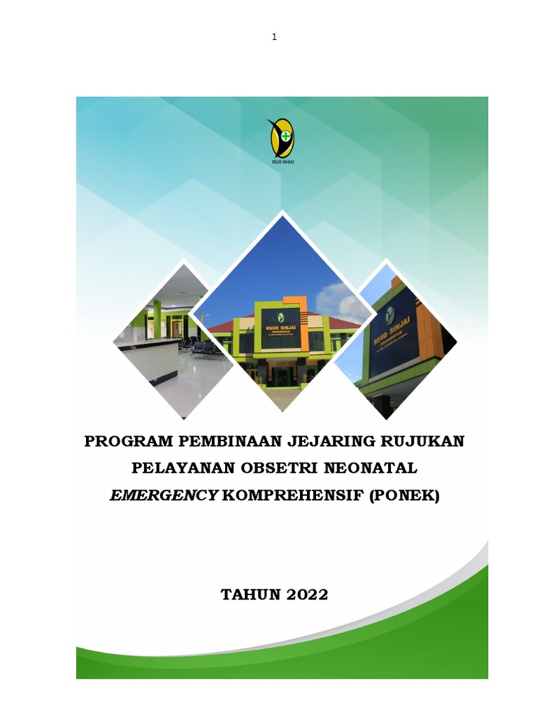 Program Pembinaan Jejaring Rujukan | PDF