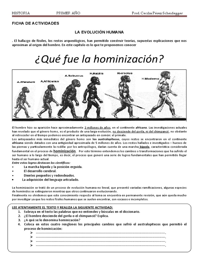 FICHA DE ACTIVIDADES #4 La Evolución Humana | PDF | Evolución humana | Homo