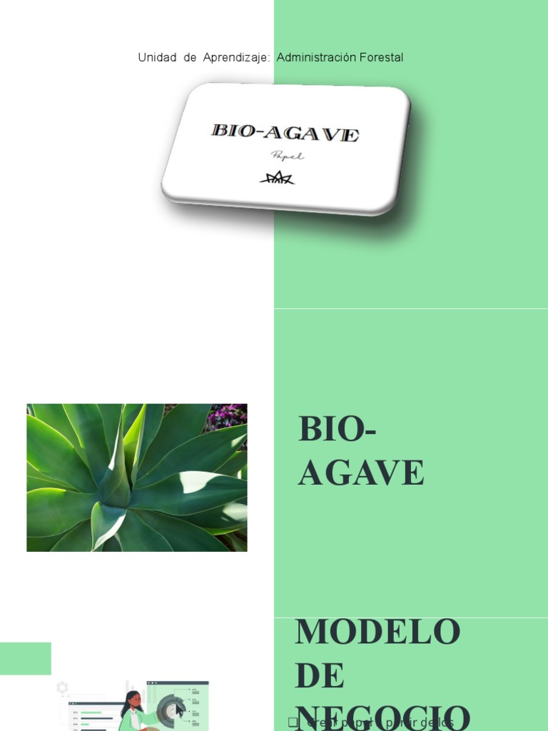 ALEX (Bio Agave) | PDF | Papel | Business